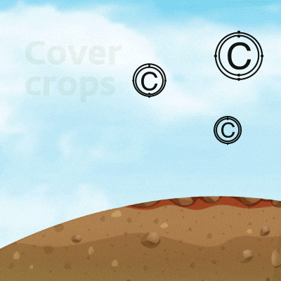 Conscious Planet - Save Soil Clips - Be Animated