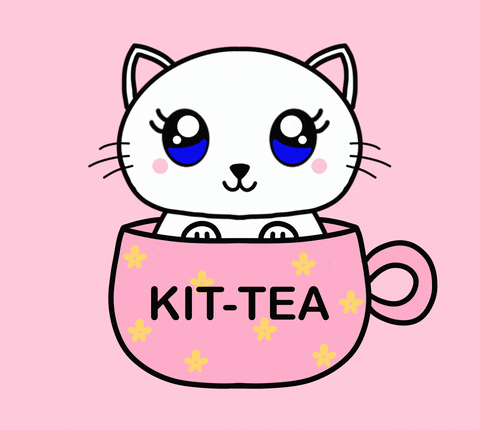 Cat Tea GIFs - Get the best GIF on GIPHY