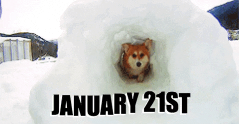 January-twenty-first GIFs - Get the best GIF on GIPHY