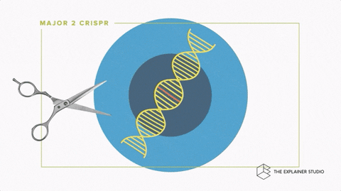 Animation Cell GIF by The Explainer Studio - Find & Share on GIPHY