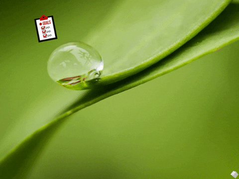 Stress Reduction GIFs - Get the best GIF on GIPHY