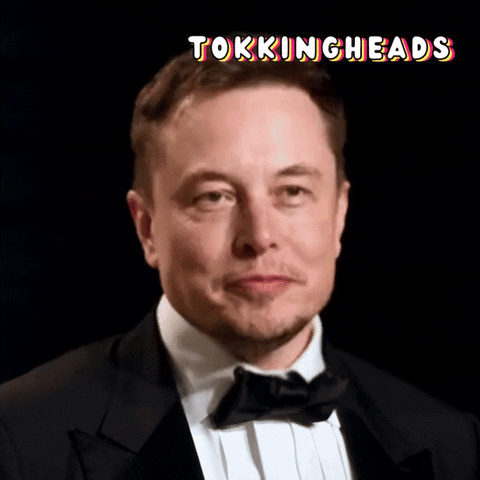 Elon Musk Reaction GIF by Tokkingheads - Find & Share on GIPHY