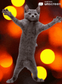 Dubstep Cat Gif