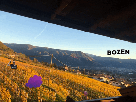 Appian GIFs - Get the best GIF on GIPHY