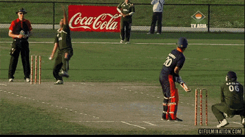 Cricket GIFs - Find & Share on GIPHY