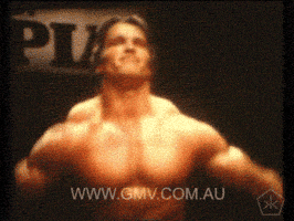 Arnold Schwarzenegger GIFs - Find & Share on GIPHY