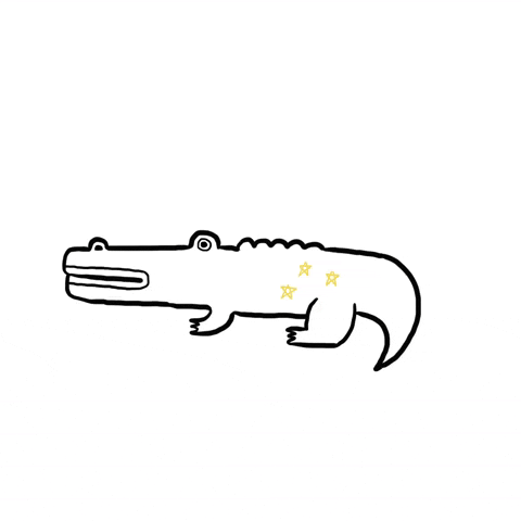 Crocodile GIF - Find & Share on GIPHY