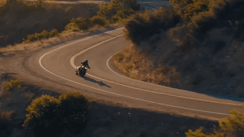 Ride GIF by Harley-Davidson - Find & Share on GIPHY