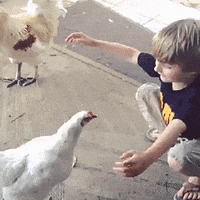 Little Kids Hugging Gif