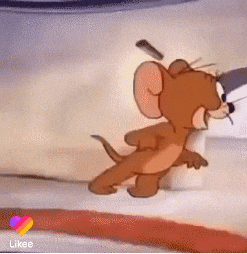 Chinese Tom GIFs - Get the best GIF on GIPHY