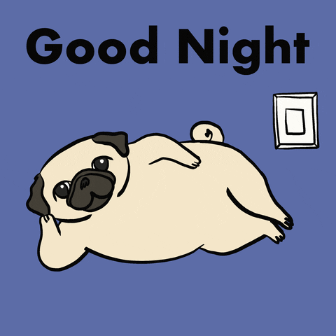 Sleeping-pug GIFs - Get the best GIF on GIPHY