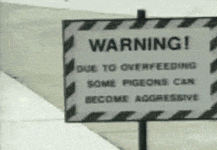 Tonfa-attack GIFs - Get the best GIF on GIPHY