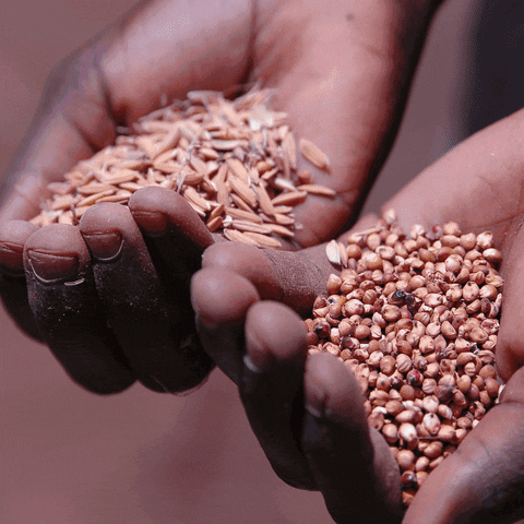 Crop Protection GIFs - Get the best GIF on GIPHY