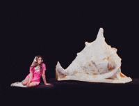 Shell-art GIFs - Get the best GIF on GIPHY