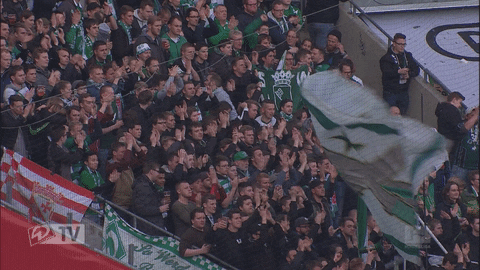 Fans by SV Werder Bremen | GIPHY