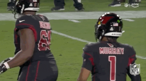 Arizona Cardinals Football GIF by NFL - Find & Share on GIPHY