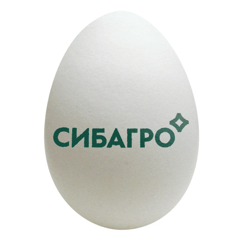 sibagro GIFs on GIPHY - Be Animated