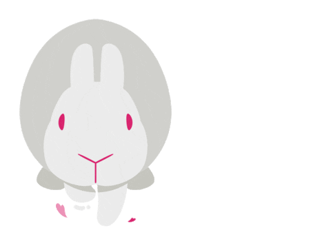 Rabbit Gif Tumblr