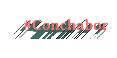 Conchas Tomasa GIFs on GIPHY - Be Animated