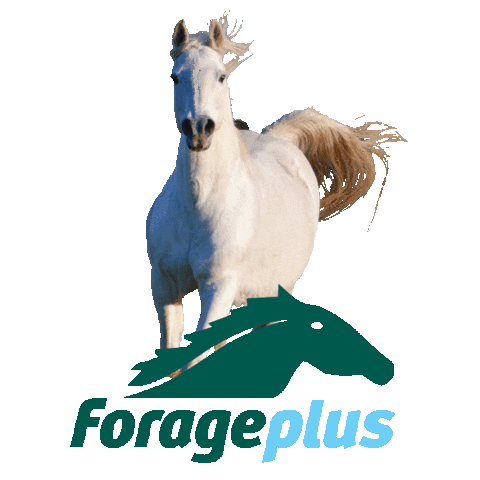 Forageplus Horse GIFs on GIPHY - Be Animated