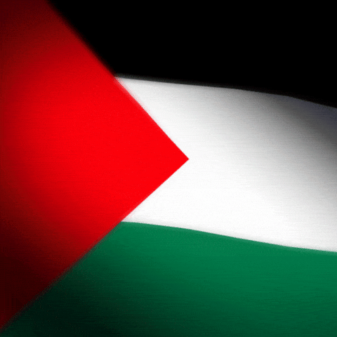 Palestine Flag GIFs - Find & Share on GIPHY