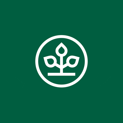 Aok-plus-logo GIFs - Get the best GIF on GIPHY