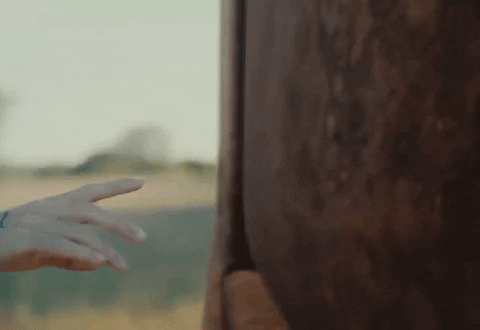 Victim GIF by ericdoa - Find & Share on GIPHY