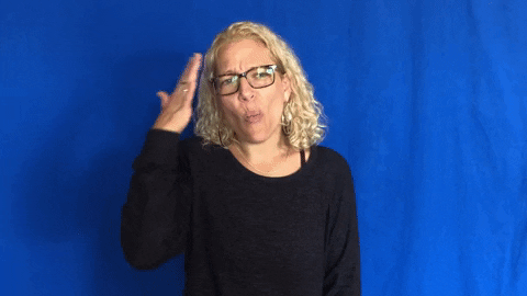 Why GIF - Find & Share on GIPHY