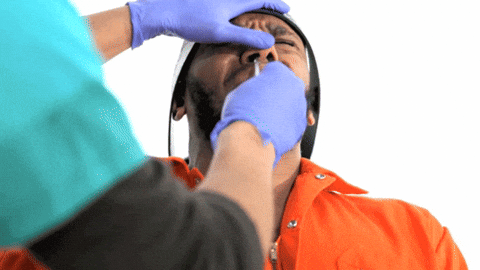 Force Feeding GIFs - Get the best GIF on GIPHY