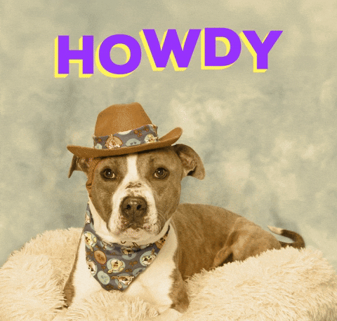 Howdy GIFs - Get the best GIF on GIPHY