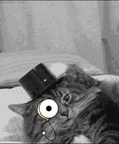 Wolf-cute GIFs - Get the best GIF on GIPHY