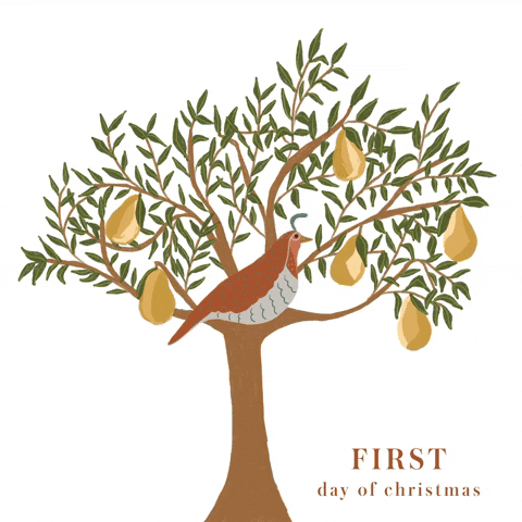 Partridge In A Pear Tree GIFs - Get the best GIF on GIPHY