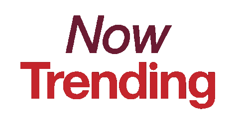 T.J.Maxx GIFs - Find & Share on GIPHY