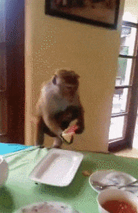 Buffet GIFs - Find & Share on GIPHY