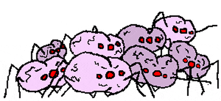 Skitter GIFs - Get the best GIF on GIPHY
