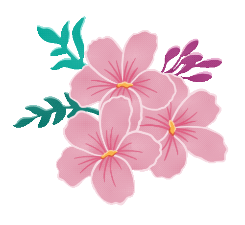 Pink Flower Gif | Best Flower Site