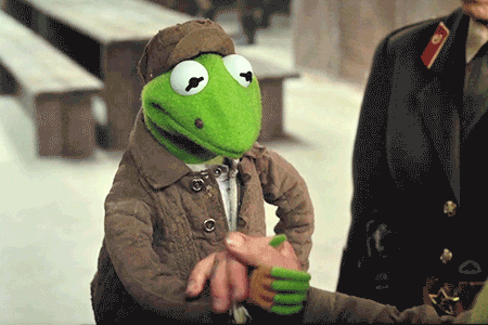 Kermit An Carr Frog Gif Profile For Kermit The Frog
