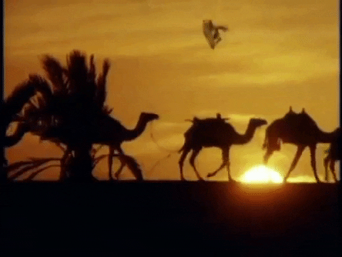 Santa Camels GIF by Greg Lake - Find & Share on GIPHY