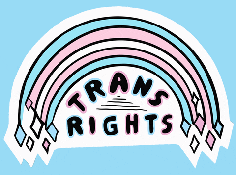 Trans Day Of Visibility Rainbow GIF by Fox Fisher - Find & Share on GIPHY