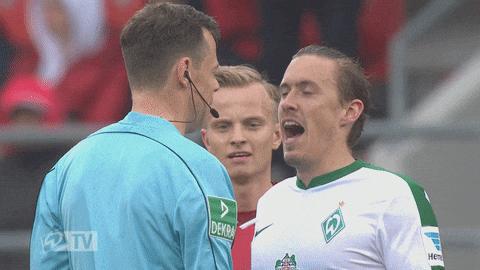 Erc-ingolstadt GIFs - Get the best GIF on GIPHY