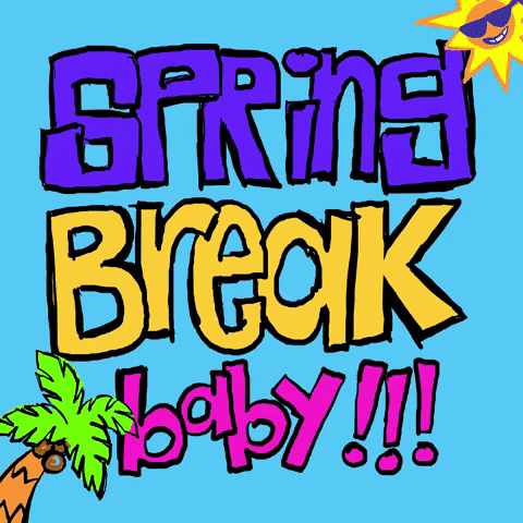 Mtv Spring Break GIFs - Find & Share on GIPHY