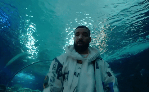 Whats Next Drake GIF by Republic Records - Find & Share on GIPHY