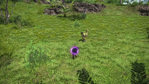 FFXIV Island Sanctuary Guide (6.x) | High Ground Gaming