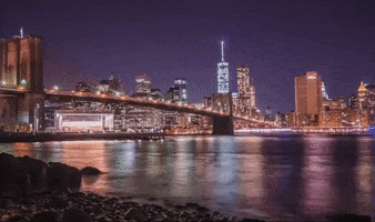 New York GIFs - Find & Share on GIPHY