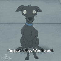 Skeptical Dog Gif