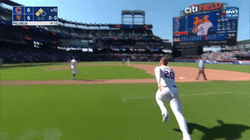 New York Mets GIFs on GIPHY - Be Animated