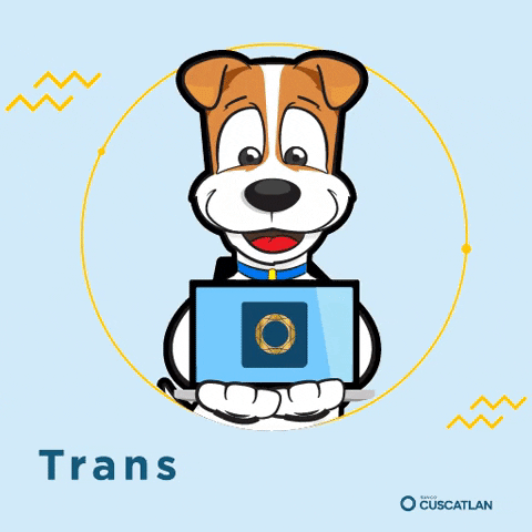 Pay Online GIFs - Get the best GIF on GIPHY