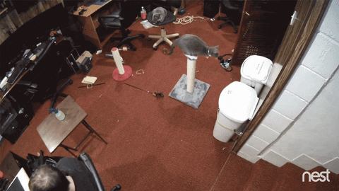 Trashy Life GIFs - Get the best GIF on GIPHY