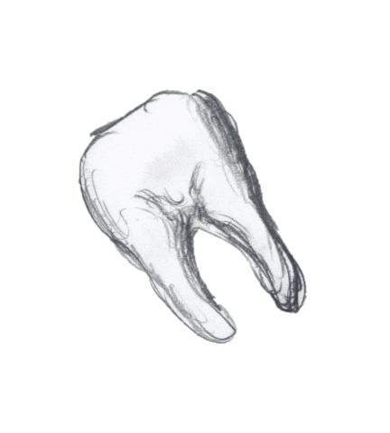Teeth Sticker for iOS & Android | GIPHY