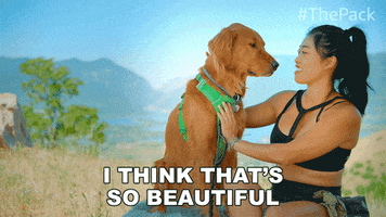 The Pack GIFs on GIPHY - Be Animated